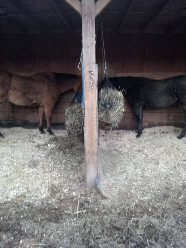 Photo Gallery - Hay Burners Equine LLC