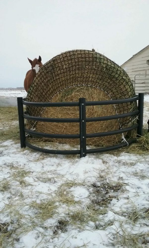 Photo Gallery - Hay Burners Equine LLC