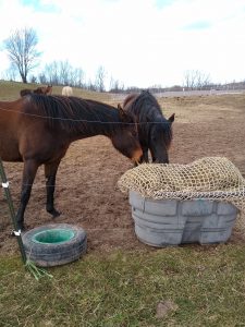 Slow Feed Hay Net Tub Topper 100-150 - Hay Burners Equine LLC