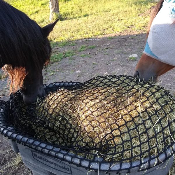 Nets for Stock Tanks and Hay Baskets Archives - Hay Burners Equine LLC