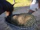 Slow Feed Hay Net Tub Topper 100-150 - Hay Burners Equine LLC