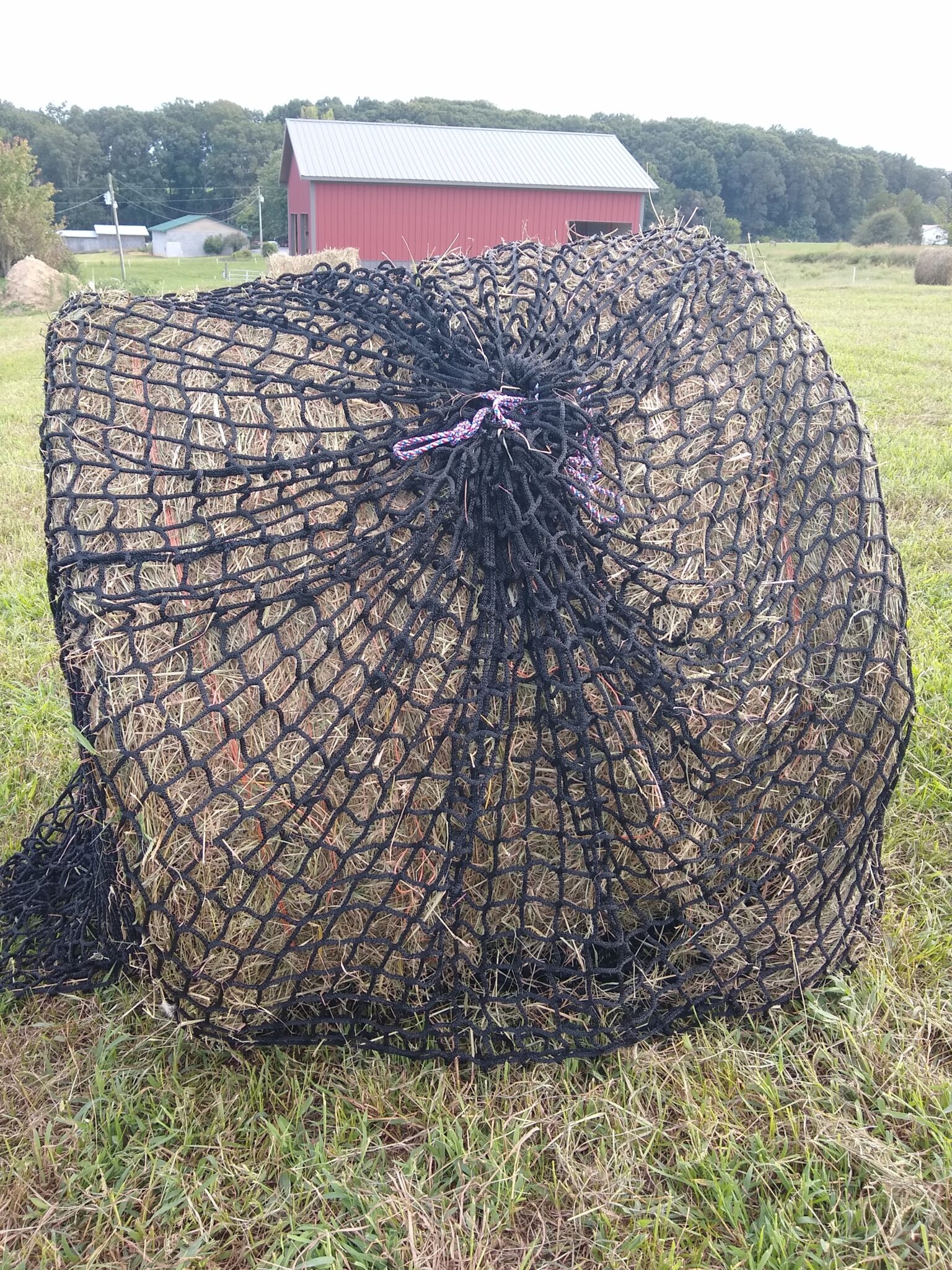 Slow Feed Hay Roll Nets - Hay Burners Equine LLC